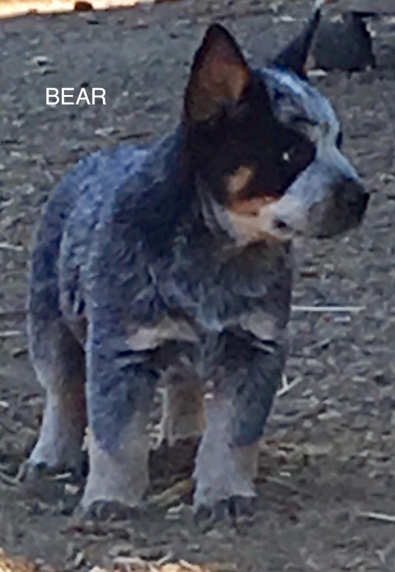 Rocking P Ranch - About Us