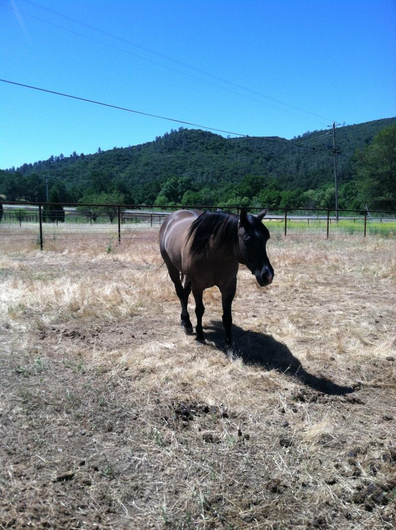 Rocking P Ranch - About Us